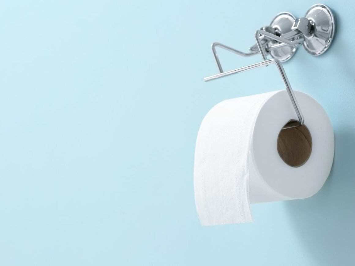 The Ideal Toilet Paper Holder Placement in your bathroom - Middleclasshomes